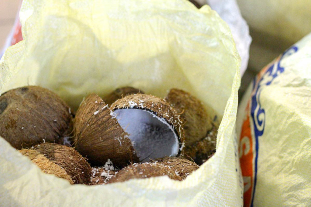 Tahiti, Moorea and Bora Bora Travel Guide